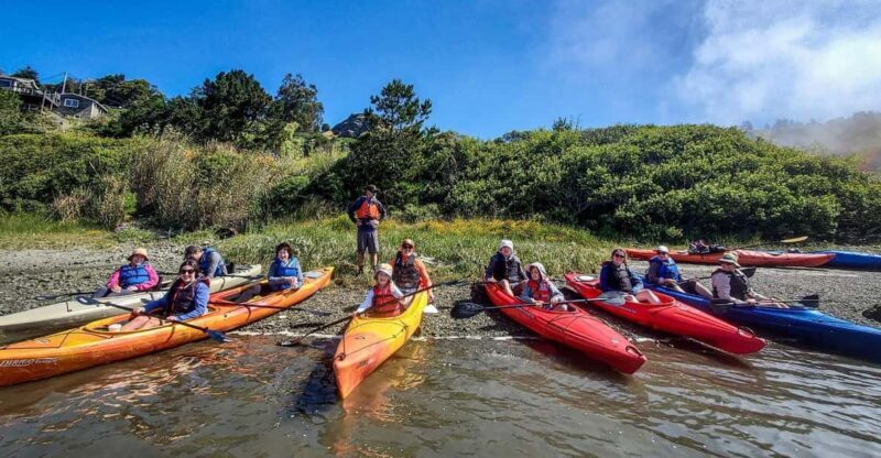 Sonoma Coast: Russian River Kayak Tour - Key Points