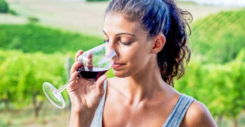 Sonoma County: Tasting Pass (Choose 1, 2, or 90 Days) - Practical Tips for Making the Most of Your Pass