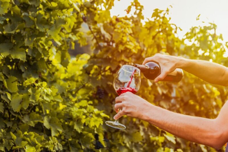 Sonoma County: Tasting Pass (Choose 1, 2, or 90 Days) - Introduction