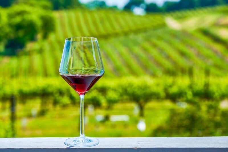 Sonoma County: Tasting Pass (Choose 1, 2, or 90 Days) - Who Will Love This Experience?