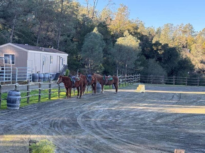 Sonoma County: Wine Country Horseback Riding Adventure - Discover the Charm of Sonoma County with a Horseback Riding Adventure