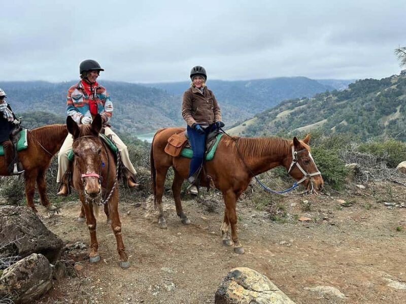 Sonoma County: Wine Country Horseback Riding Adventure - The Itinerary: From Vista Views to Valley Vistas
