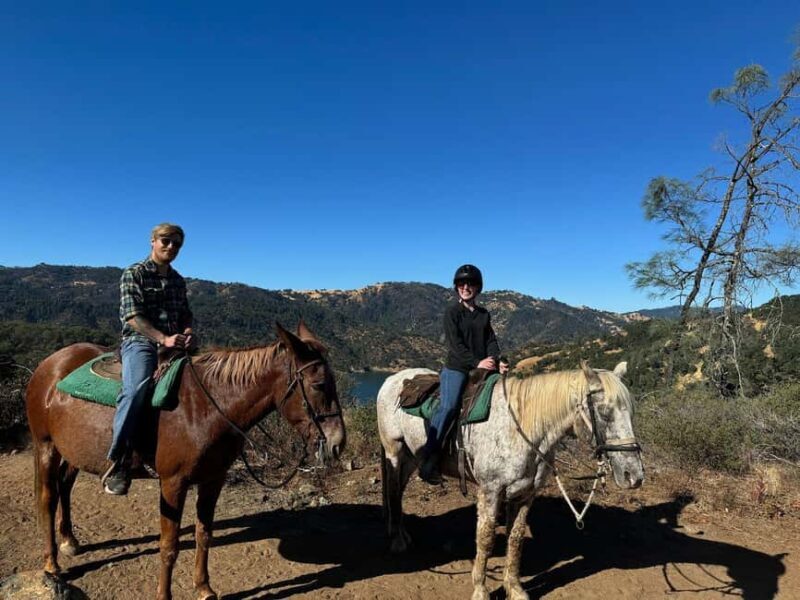 Sonoma County: Wine Country Horseback Riding Adventure - Authentic Nature Experience in Sonomas Wine Country
