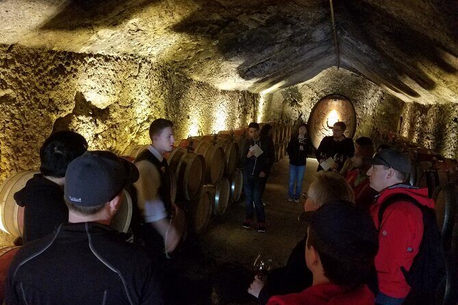 Sonoma County Wine Segway Tour - The Practical Details