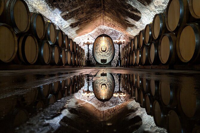 Sonoma County Wine Segway Tour - Who’s This Tour Best For?