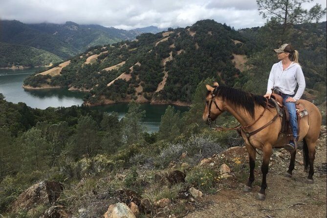 Sonoma Horseback-Riding Tour - Sonoma Horseback-Riding Tour: A Genuine Taste of California’s Wine Country