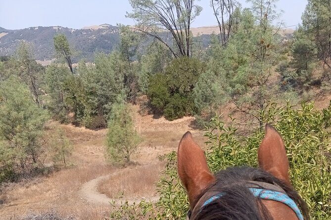 Sonoma Horseback-Riding Tour - The Experience: A Detailed Breakdown