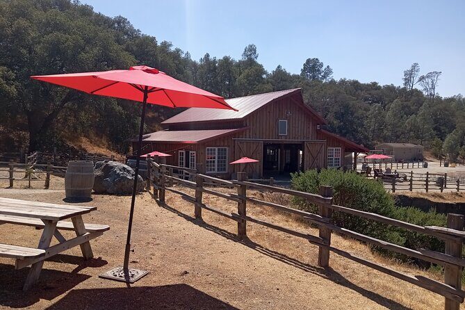 Sonoma Horseback-Riding Tour - In The Sum Up