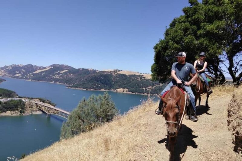 Sonoma: Horseback Riding Tour to Skaggs Vista Mountain - An Authentic Sonoma Experience