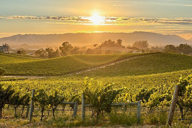 Sonoma Private 6-Hour Wine Adventure - Possible Considerations