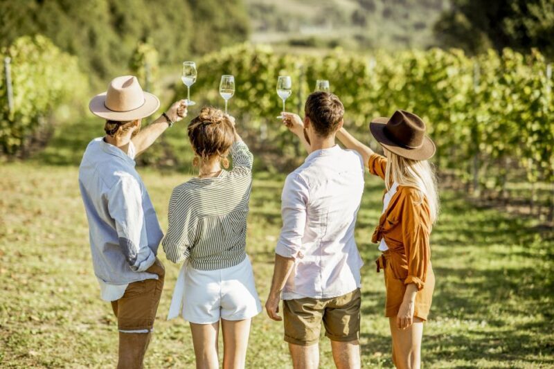 Sonoma Valley: Guided Winery Tour with Picnic Lunch - Exploring Sonoma Valley: An In-Depth Look