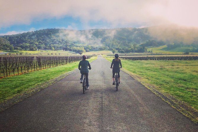 Sonoma Valley Pedal Assist Bike Tour with Lunch - Why You’ll Love This Sonoma Bike Tour