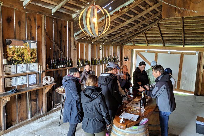 Sonoma Valley Pedal Assist Bike Tour with Lunch - Who Will Love This Tour?