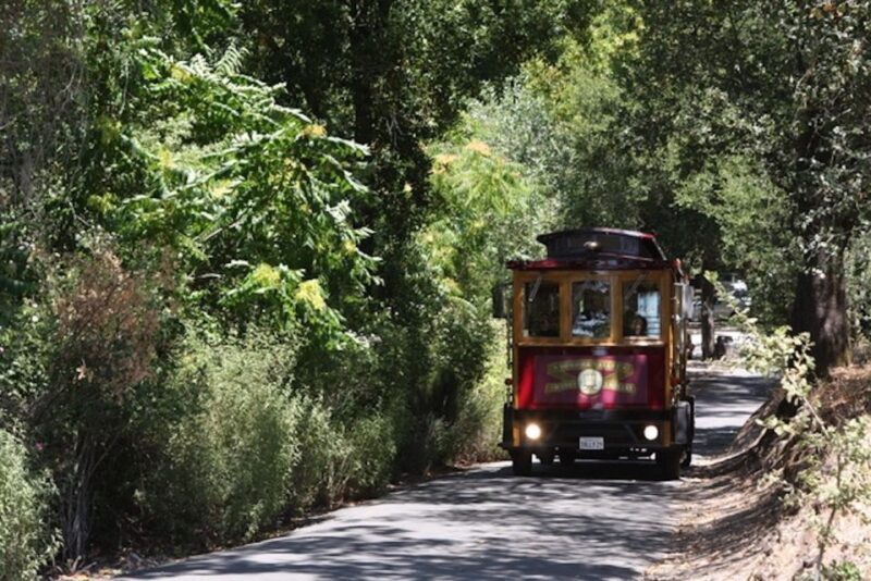Sonoma Valley: Wine Trolley Tasting Tour with Lunch - Practical Considerations