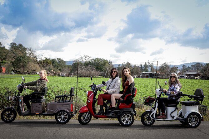 Sonoma Wine Country Electric Trike Tour - 3 hours - Exploring Sonoma on an Electric Trike