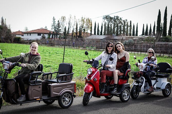 Sonoma Wine Country Electric Trike Tour - 3 hours - Who Should Consider This Tour?