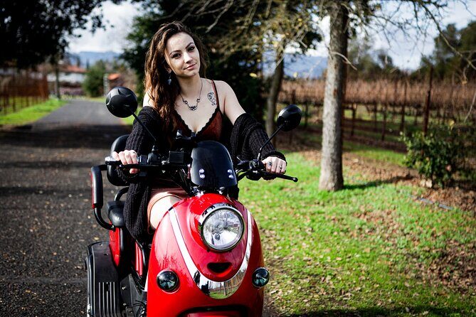 Sonoma Wine Country Electric Trike Tour - 5 hours - Why Travelers Love This Tour