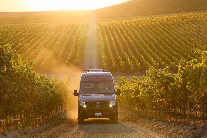 Sonoma Wine Tour - Private Access to Small Wineries - An In-Depth Look at the Sonoma Wine Tour Experience