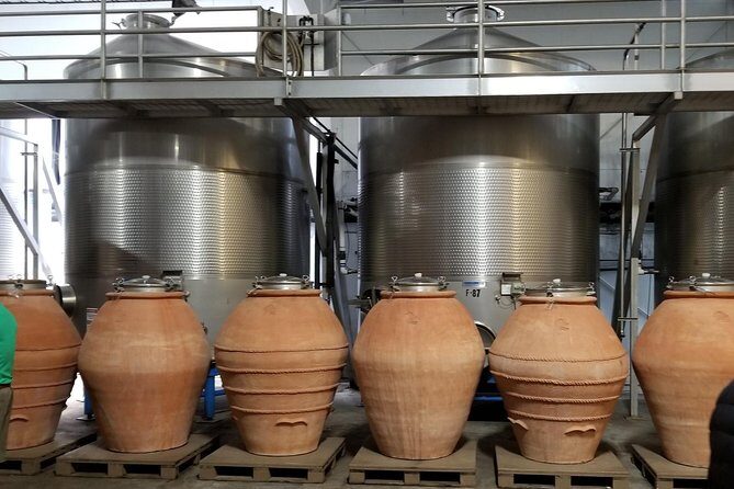 Sonoma Wine Tour with 2 Tastings Included Small-Group Half Day - Sonoma Plaza and Lunch Break
