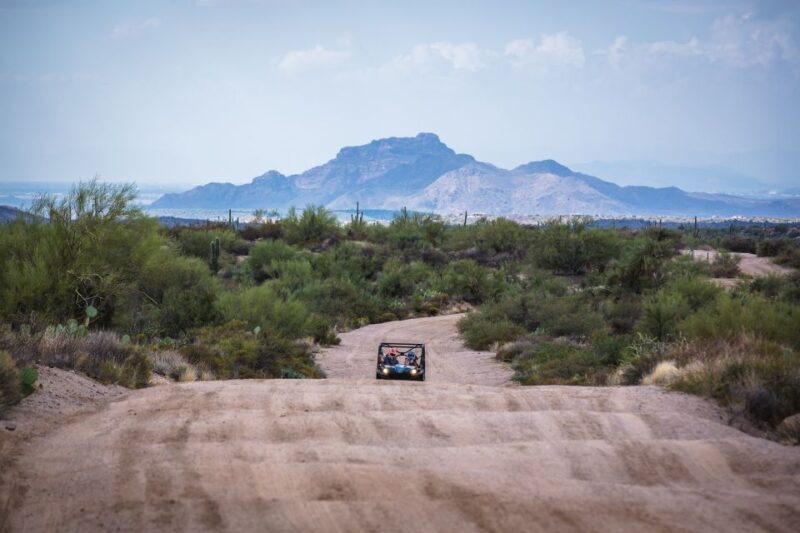 Sonoran Desert: Guided 2-Hour UTV Adventure - Authentic Experiences and Real Feedback