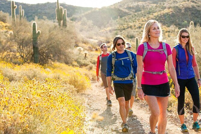 Sonoran Desert Guided Hike - The Experience in Detail: What to Expect on Your Guided Hike