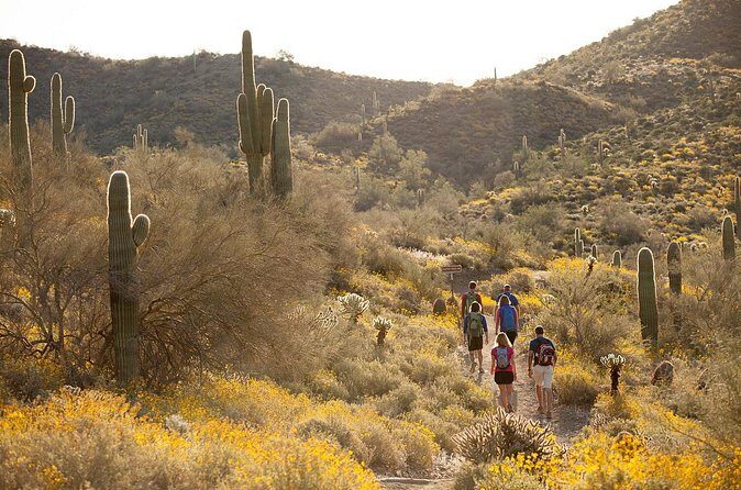 Sonoran Desert Guided Hike - FAQ: Your Questions About the Sonoran Desert Guided Hike