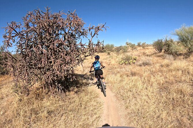 Sonoran Desert Guided Mountain Bike Adventure - A Closer Look at the Experience