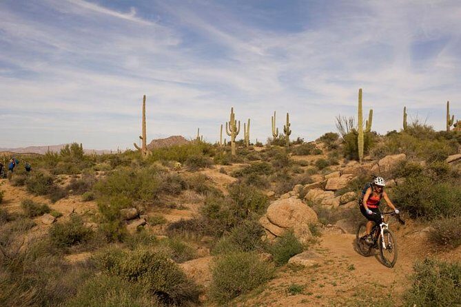 Sonoran Desert Guided Mountain Bike Tour - An In-Depth Look at the Sonoran Desert Guided Mountain Bike Tour