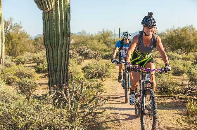 Sonoran Desert Guided Mountain Bike Tour - Final Thoughts