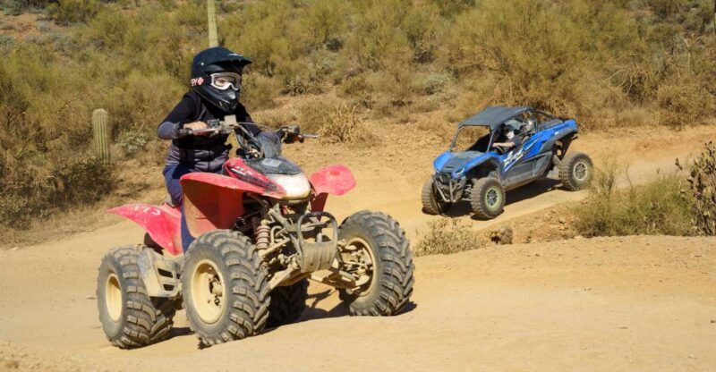 Sonoran Desert: Guided UTV or ATV Desert Tour - Who Should Book This Tour?