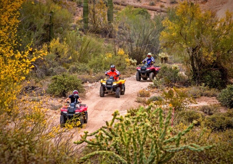 Sonoran Desert: Guided UTV or ATV Desert Tour - What to Expect From the Tour