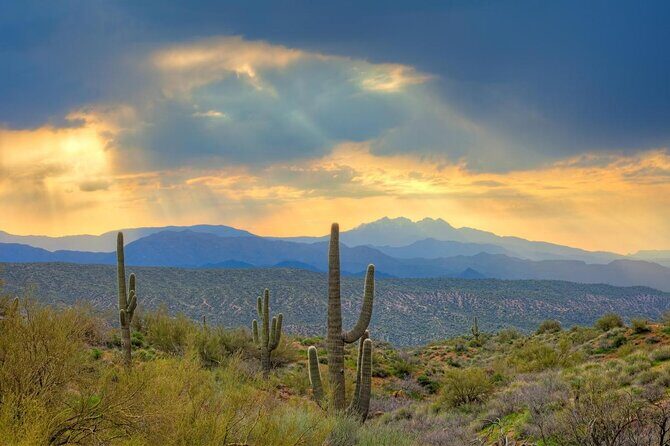 Sonoran Desert Jeep Tour - Exploring the Sonoran Desert Jeep Tour: An Honest Review