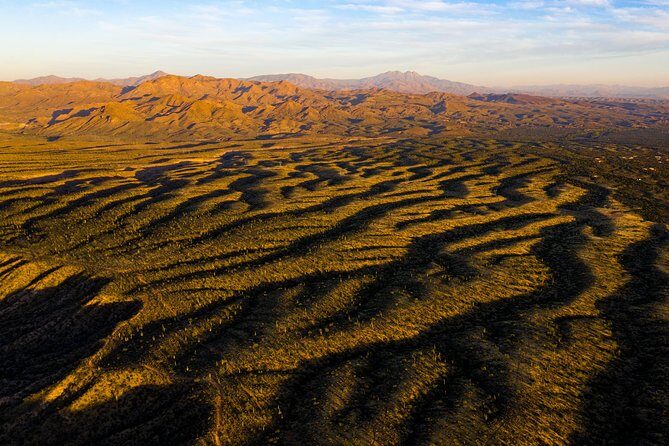 Sonoran Desert Jeep Tour - The Experience Through the Eyes of Travelers