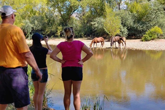 Sonoran Desert Jeep Tour - The Bottom Line: Who Would Like This Tour?