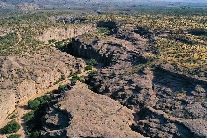 Sonoran Desert Jeep Tour - Final Thoughts: The Value of the Sonoran Desert Jeep Tour