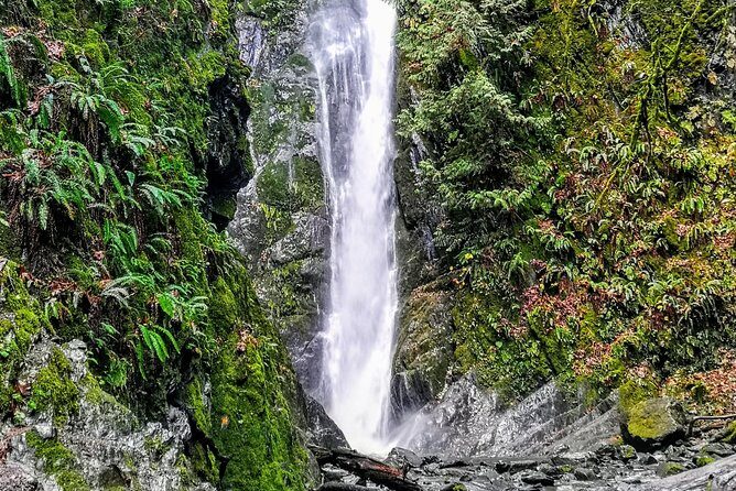Sooke to Port Renfrew: Wild Pacific Adventure - The Overall Value