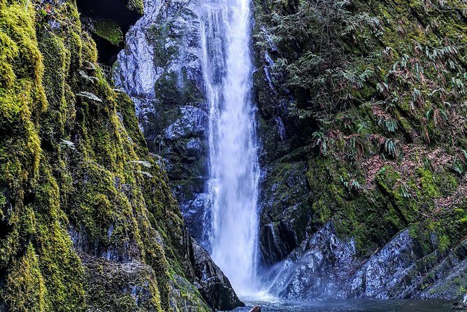Sooke to Port Renfrew: Wild Pacific Adventure - FAQ: Your Questions Answered