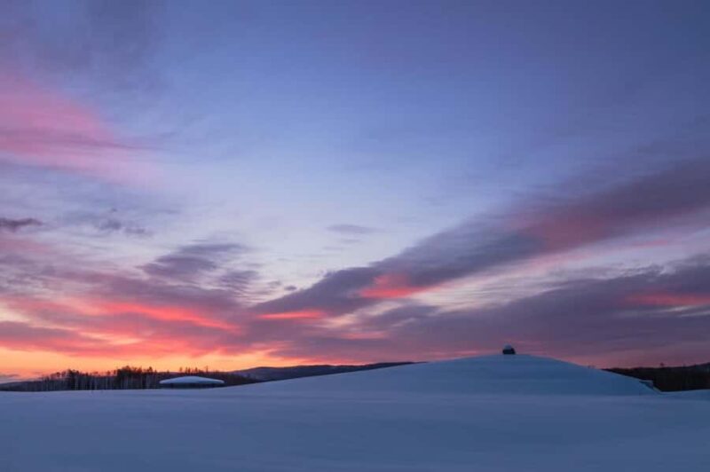 Sopporo: Hokkaido Shrine and Atama Daibutsu Full-Day Tour - An In-Depth Look at the Sapporo Full-Day Tour