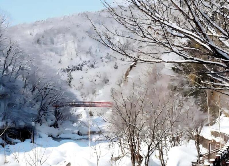 Sopporo: Hokkaido Shrine and Atama Daibutsu Full-Day Tour - Who Is This Tour Best Suited For?