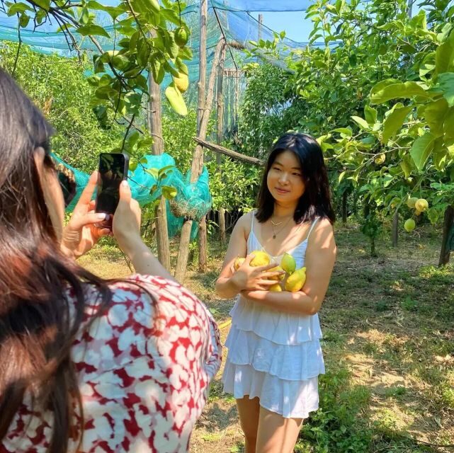 Sorrento: Authentic Lemon Experience in a Farm with Tastings - Authentic Experiences That Go Beyond the Surface