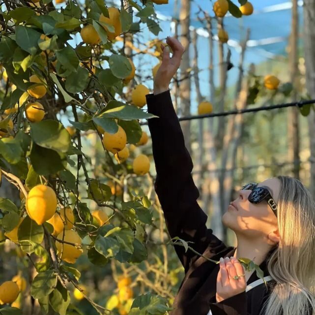Sorrento: Authentic Lemon Experience in a Farm with Tastings - Who Is This Tour For?