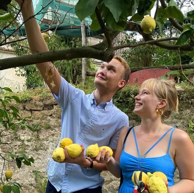 Sorrento: Authentic Lemon Experience in a Farm with Tastings - FAQ
