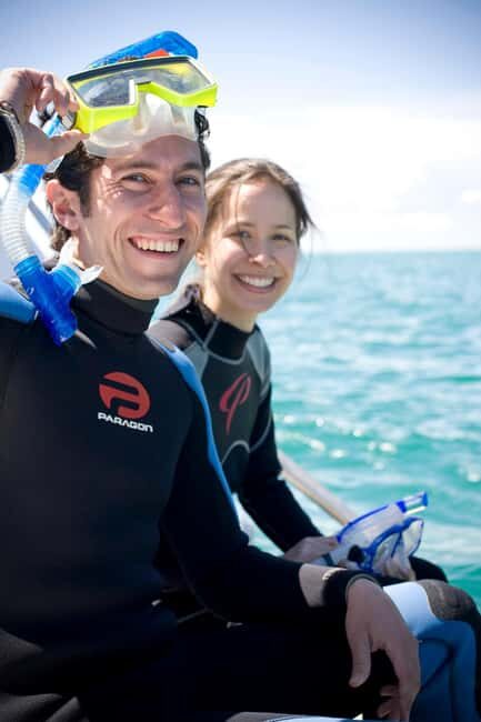Sorrento: Boat Tour & Snorkeling with the Seals with Lunch - The Value for Different Travelers