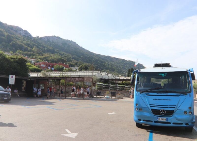 Sorrento: Capri, Anacapri and Blue Grotto Guided Tour - The Value and Pricing