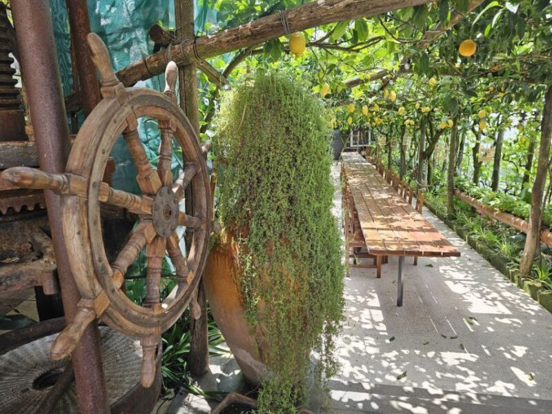 Sorrento Coast: E-Bike & Cooking Experience - Experience the Sorrento Coast: E-Bike & Cooking Adventure