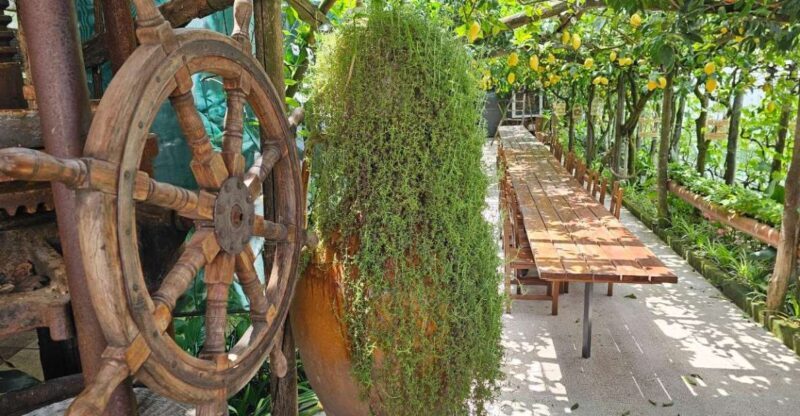 Sorrento Coast: E-Bike & Cooking Experience - Key Points