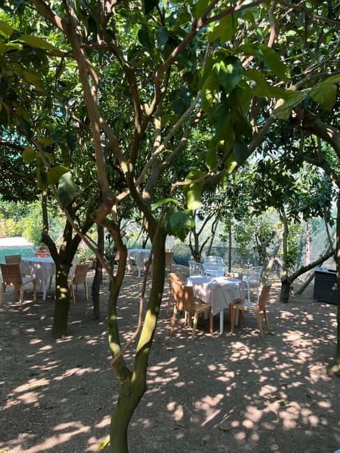 Sorrento: Cooking Class under the Lemon Trees - Key Points