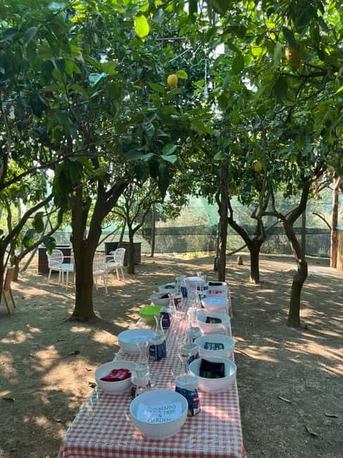 Sorrento: Cooking Class under the Lemon Trees - Who This Tour Is Best For