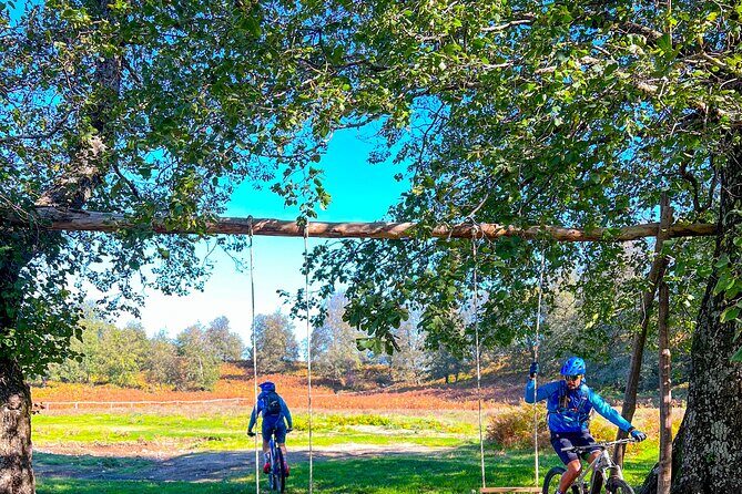 Sorrento e-bike adventure: olive oil and lemon tasting - Itinerary Breakdown