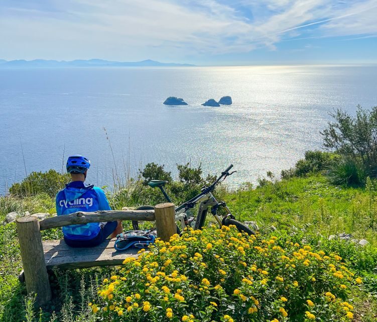 Sorrento: E-bike Oil & Lemon Tour with Tasting - Key Points